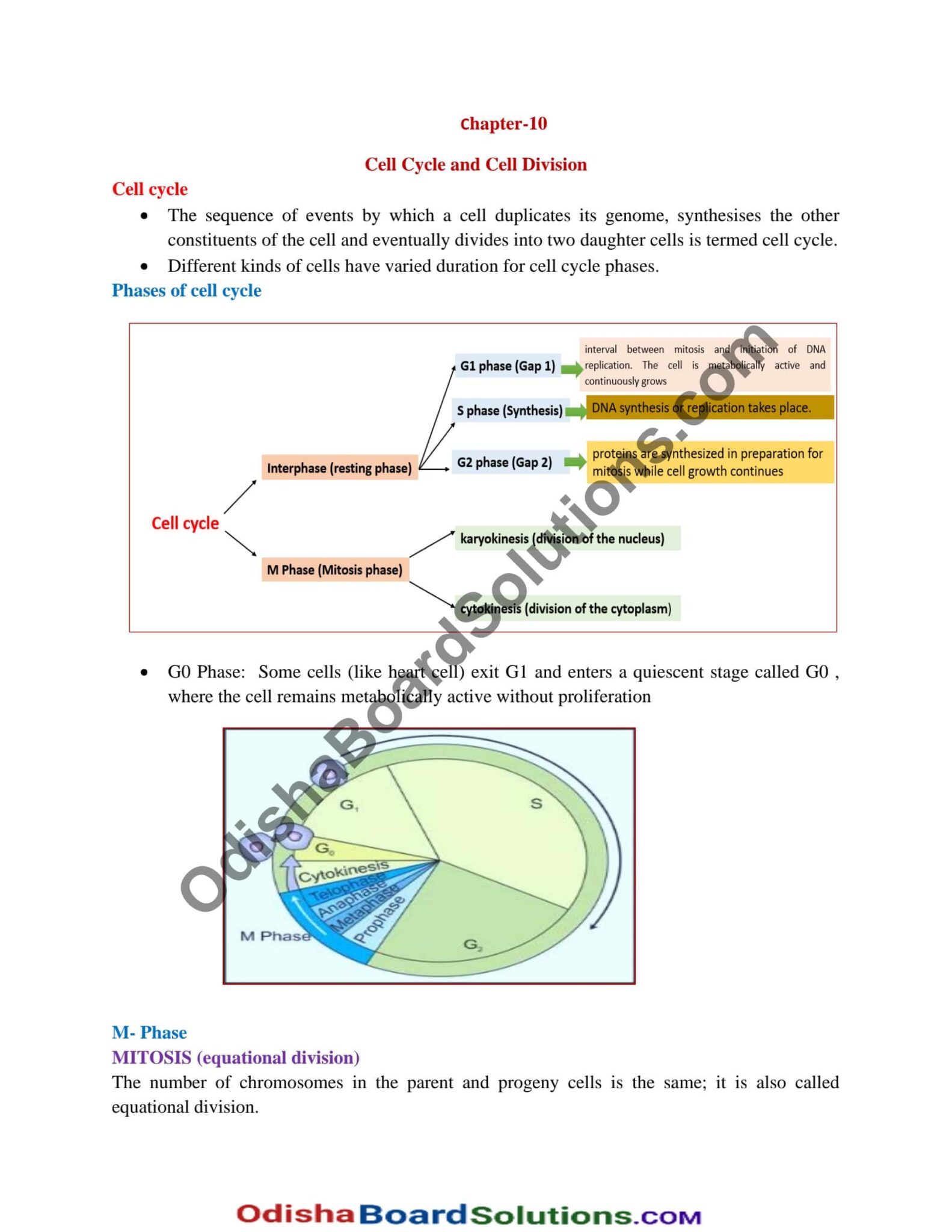 CHSE Odisha Class 11 Biology Chapter 10 Notes - Odisha Board Solutions.com